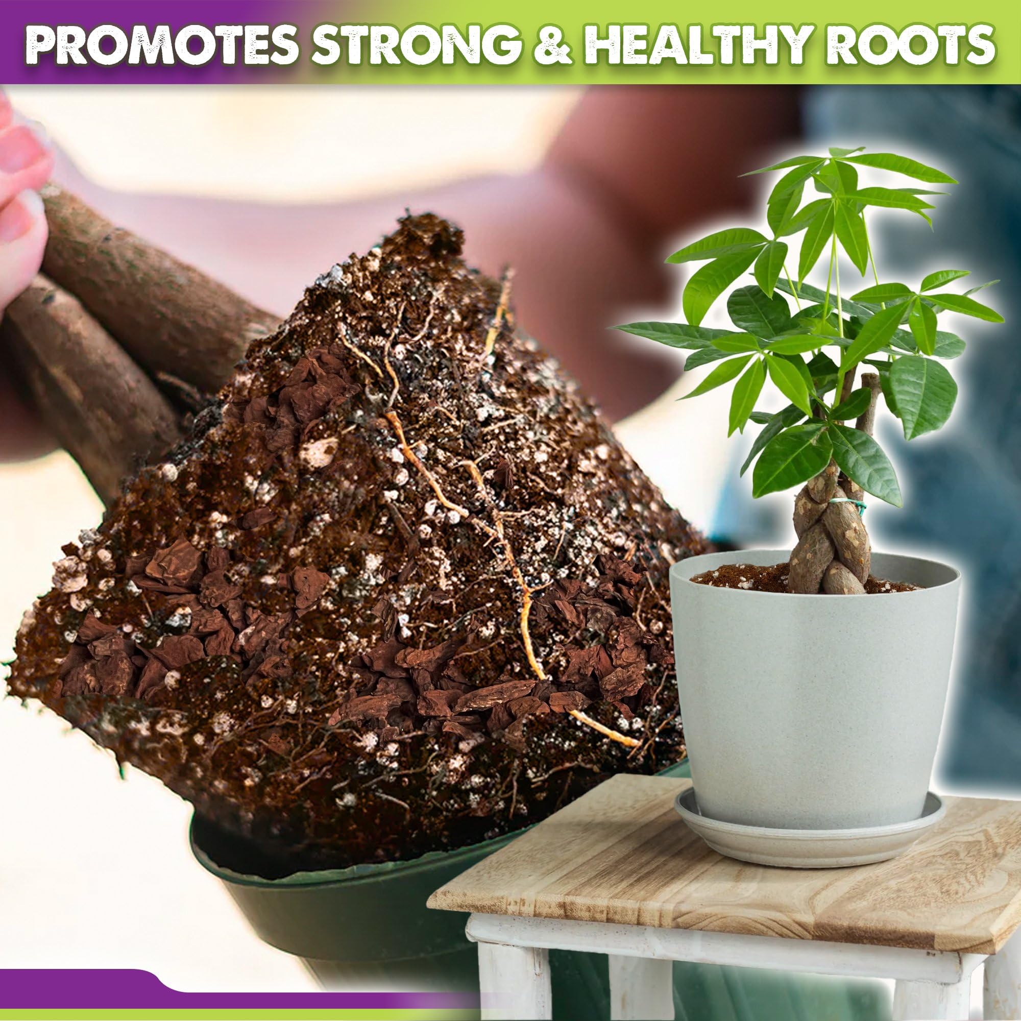 Snapklik.com : DUSPRO Recycle Money Tree Soil, Premium Coco Coir ...