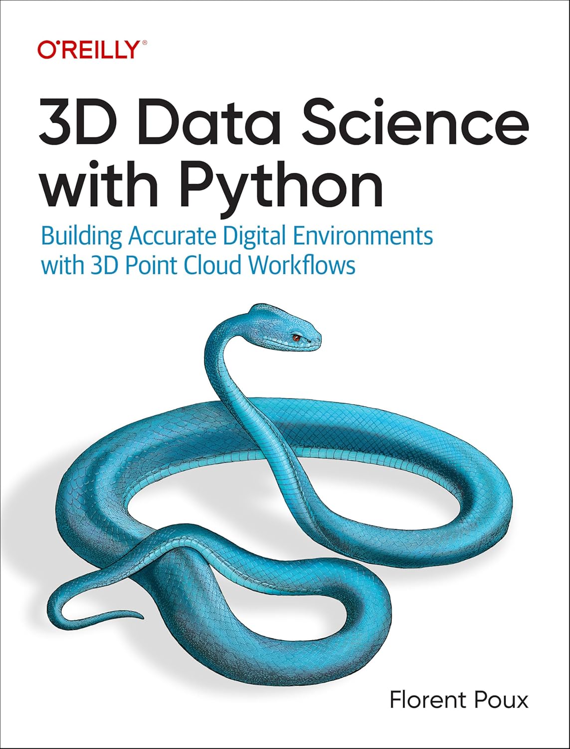 3D Data Science with Python: Building Accurate Digital Environments ...