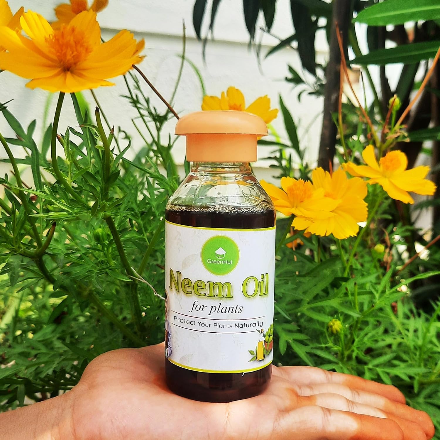 GreenHut Neem Oil for Plants | Pure, Water Soluble Organic Neem Oil for ...