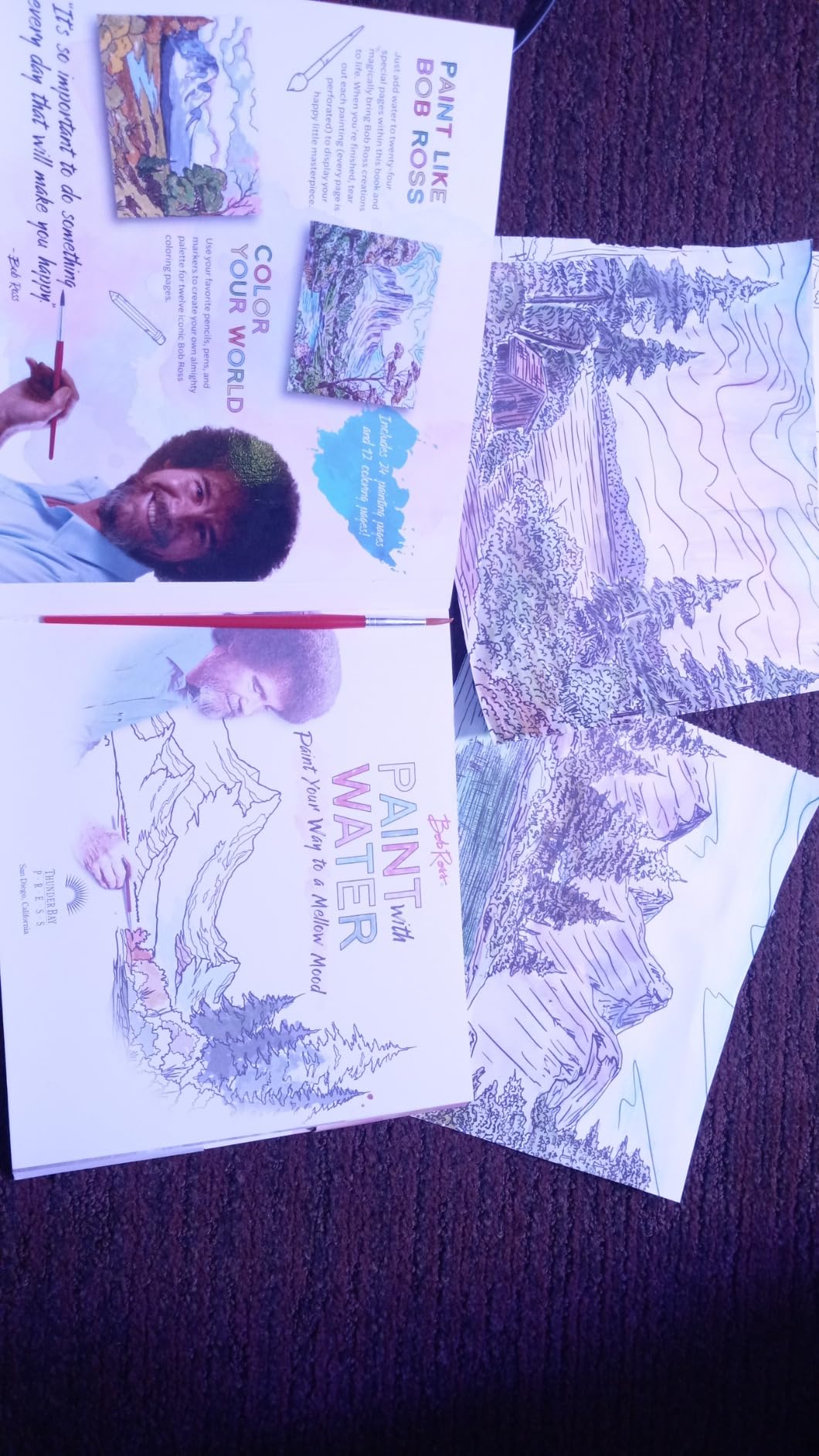 Amazon.com: Bob Ross Paint with Water: 9781684129188: Editors of ...