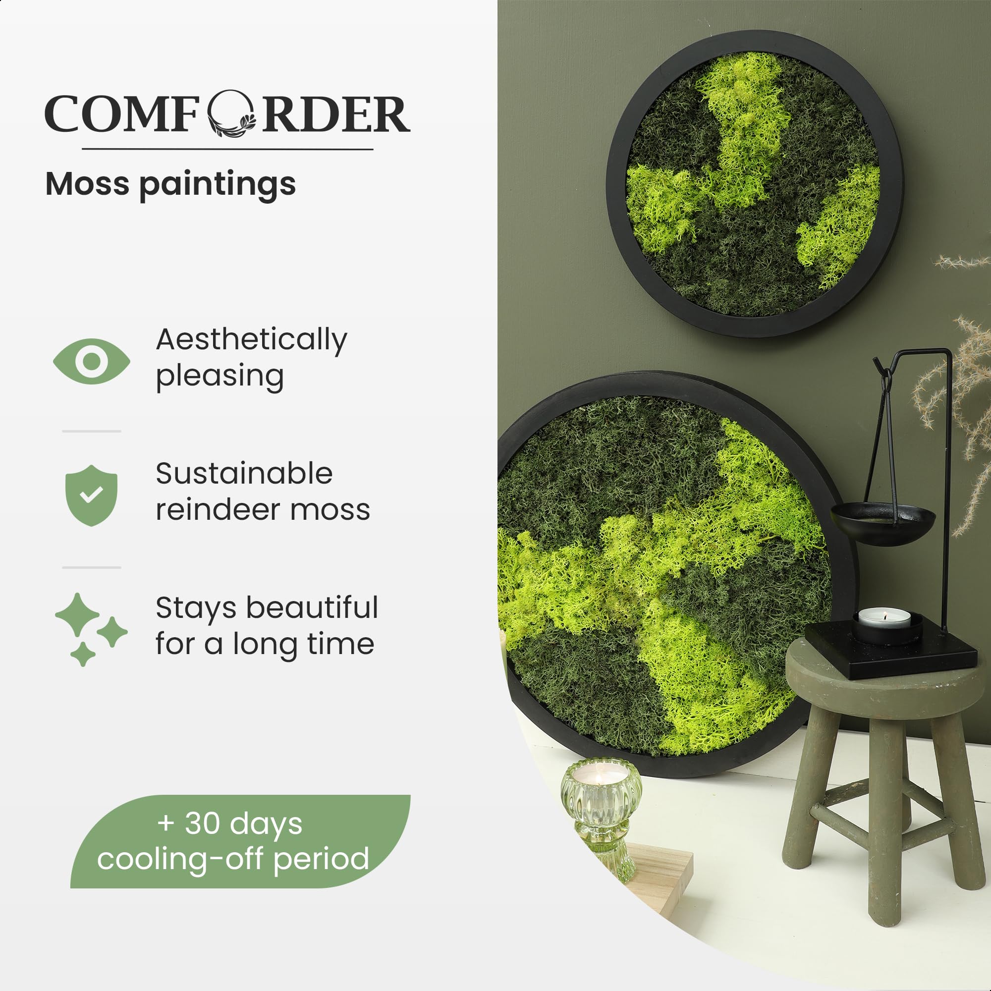 comforder Real Moss Wall Art Picture 10,6/ 27cm, Preserved Moss Wall ...
