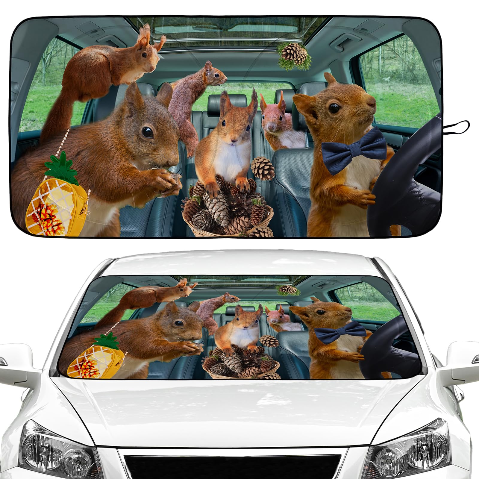Amazon.com: Funny Squirrel Car Windshield Sun Shade Foldable Sunshade ...
