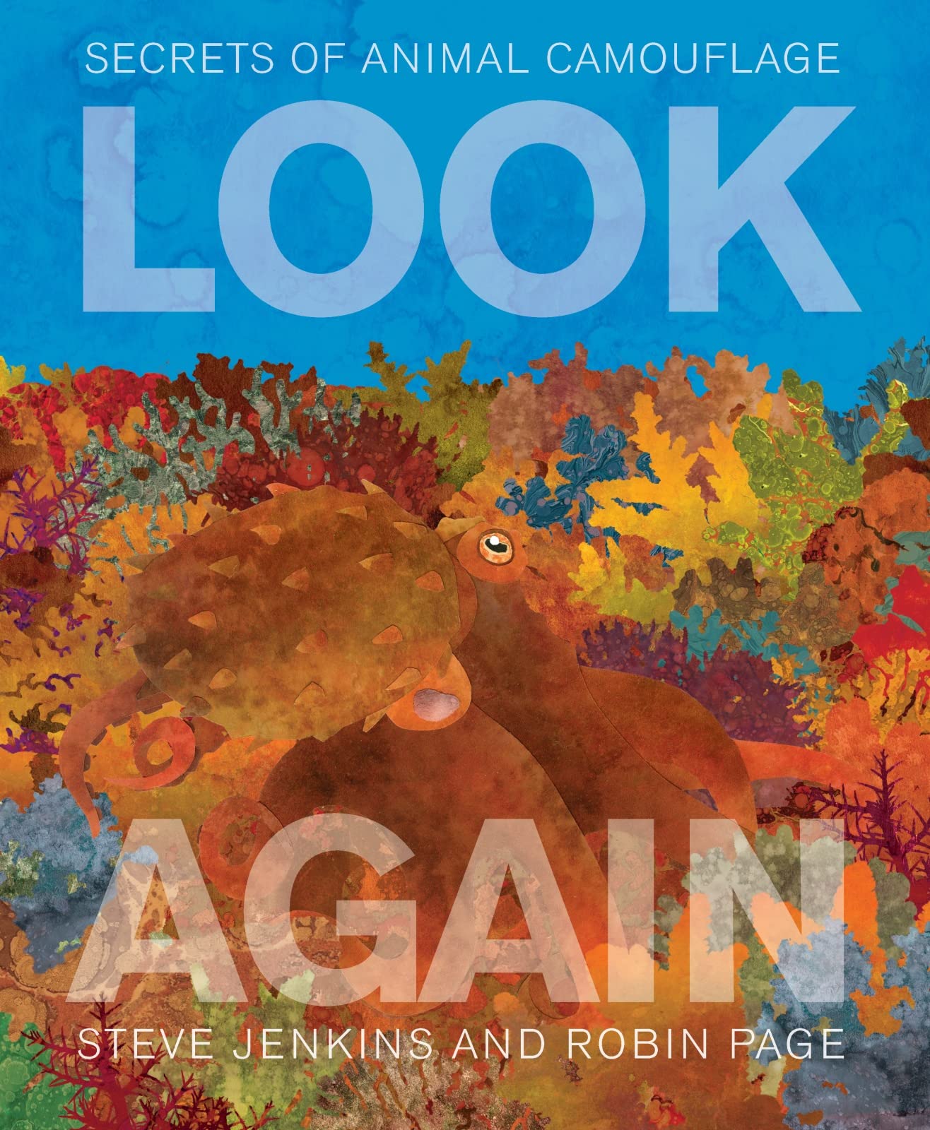 Animal adaptations – exciting camouflage activity ideas for kids ...