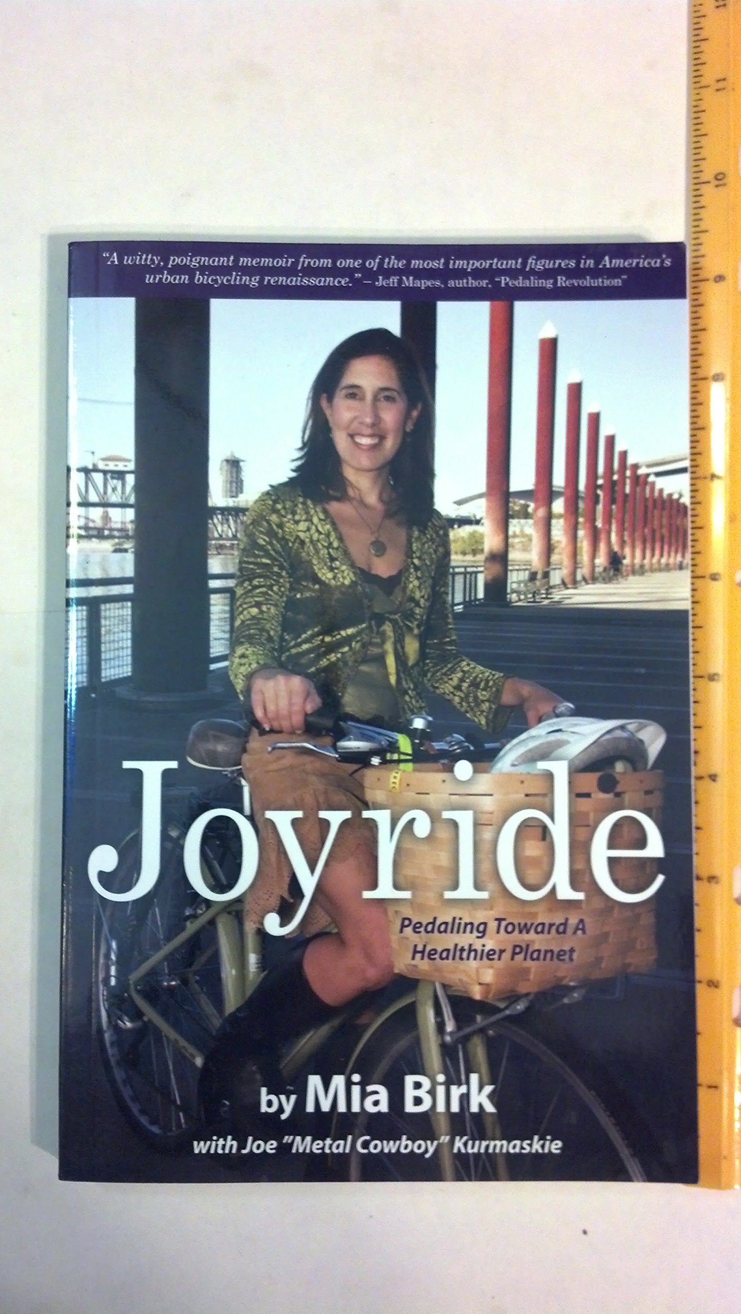 Joyride: Pedaling Toward A Healthier Planet: Mia Birk, With Joe (Metal ...