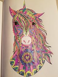 Amazon.com: Unicorn Coloring Book (Unicorns Coloring Books ...