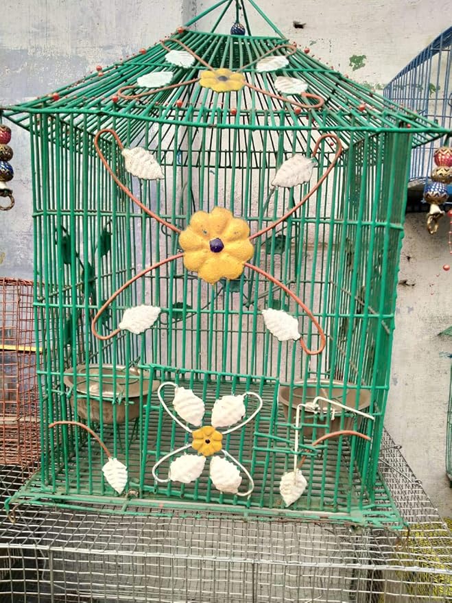 Green Bird Cage for Birds(Set of 6) : Amazon.in: Pet Supplies