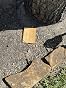 Amazon.com : PFNRTH Seesaw Board Squirrel Feeder,Challenging Woooden ...