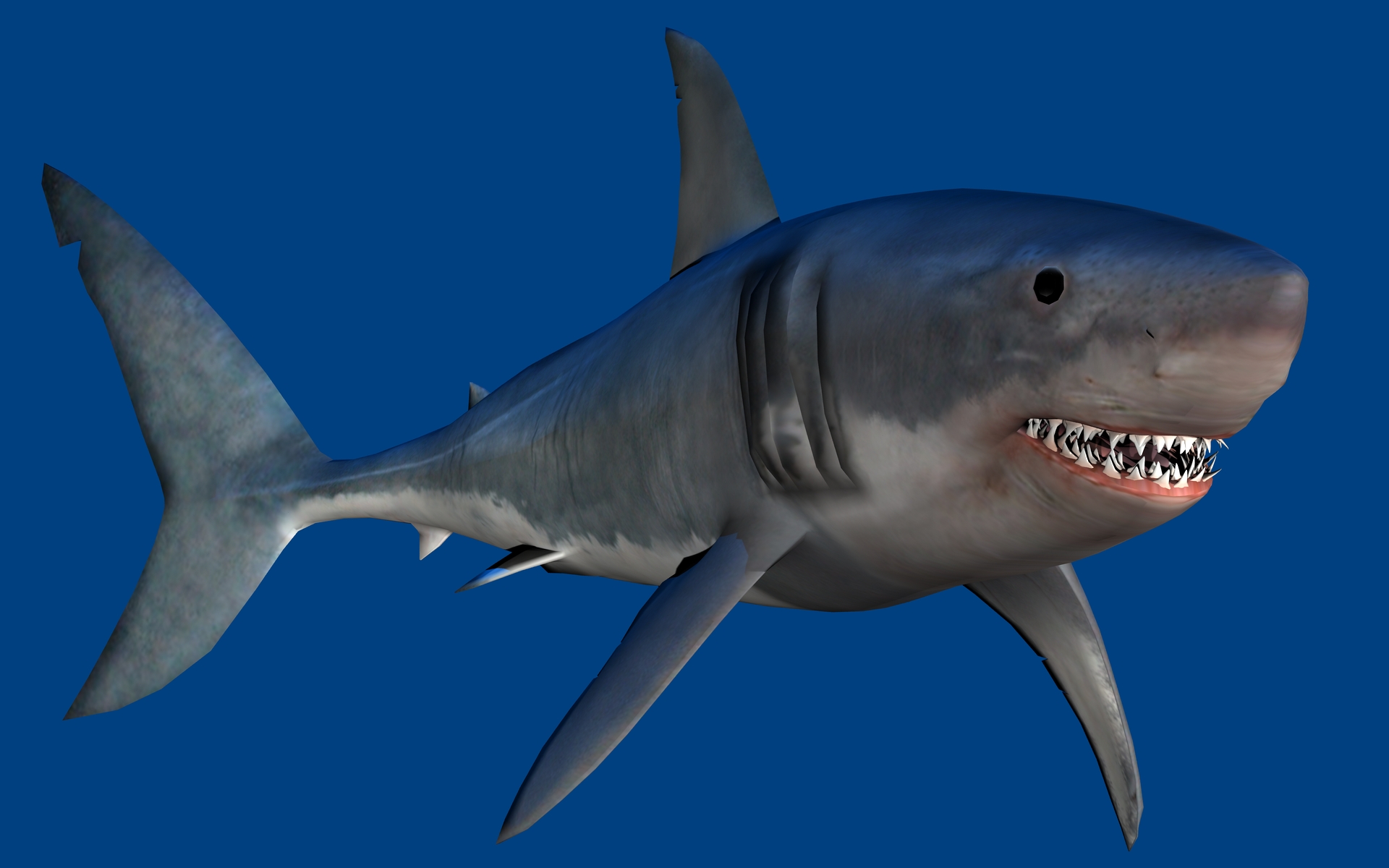 Talking Shark - App on Amazon Appstore