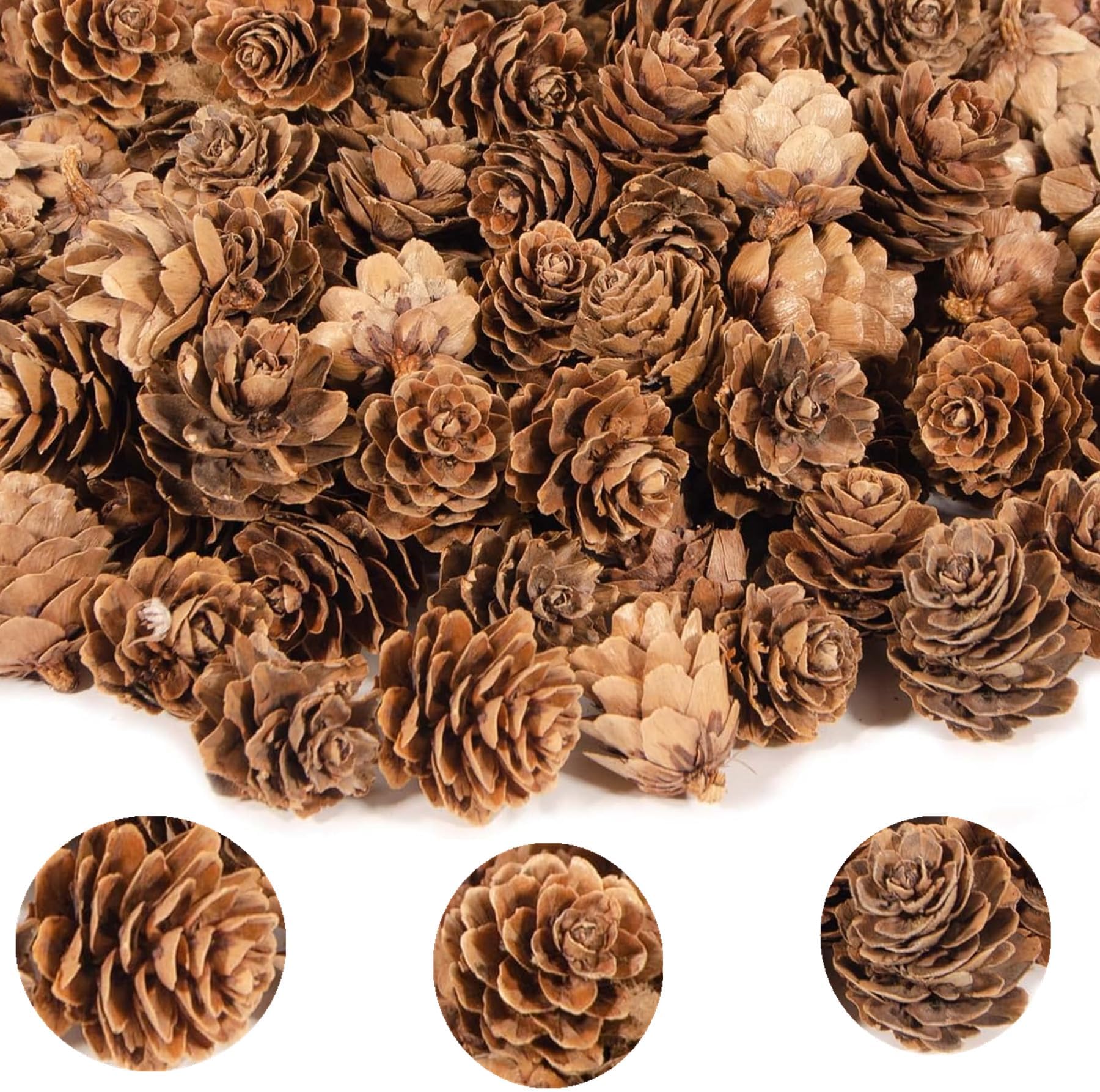 Amazon.com: alfyng 180 PCS Christmas 1-2 Inch Large Pine Cones ...