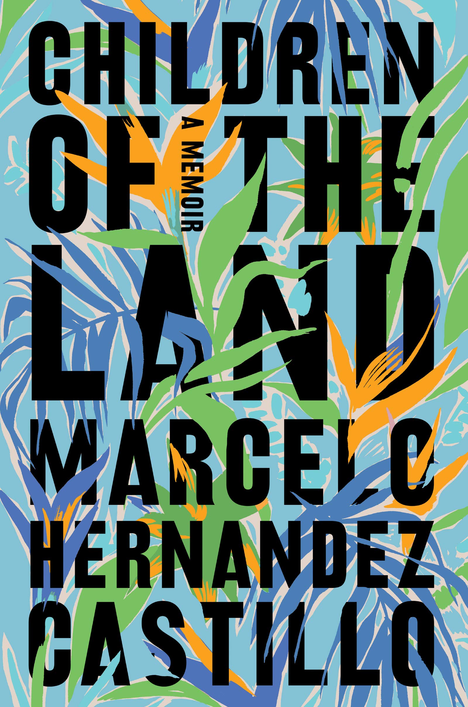 Children of the Land: Hernandez Castillo, Marcelo: 9780062825599 ...