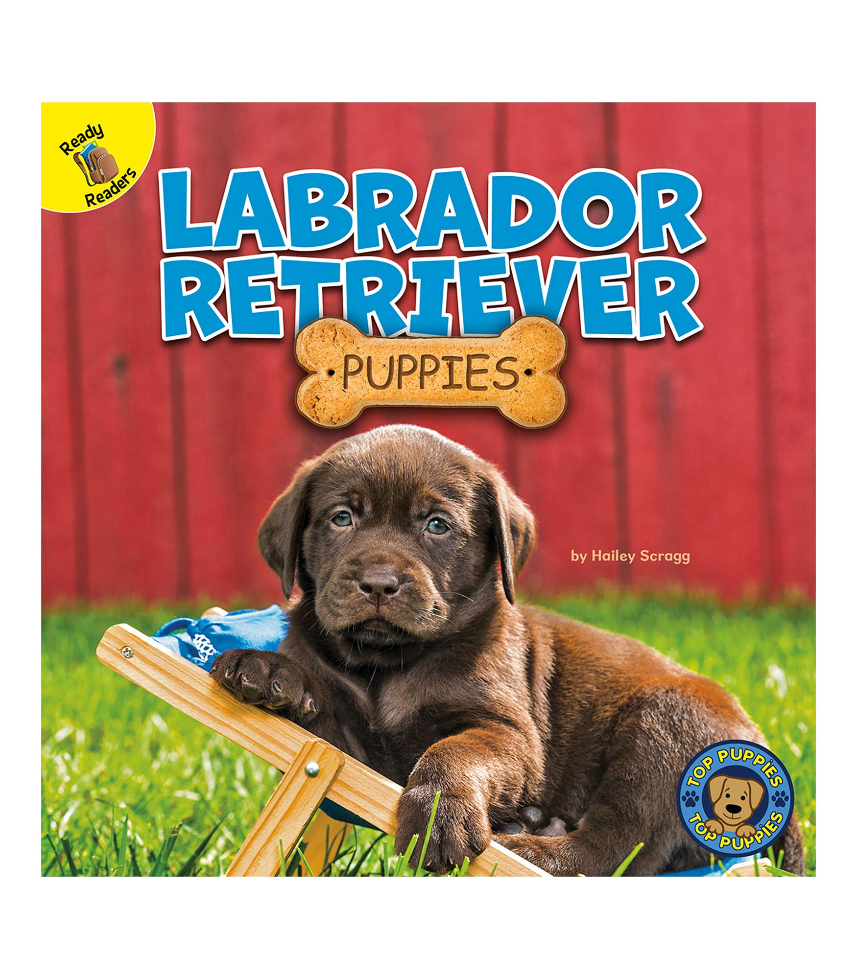 Amazon.com: Rourke Educational Media Top Puppies: Labrador Retriever ...