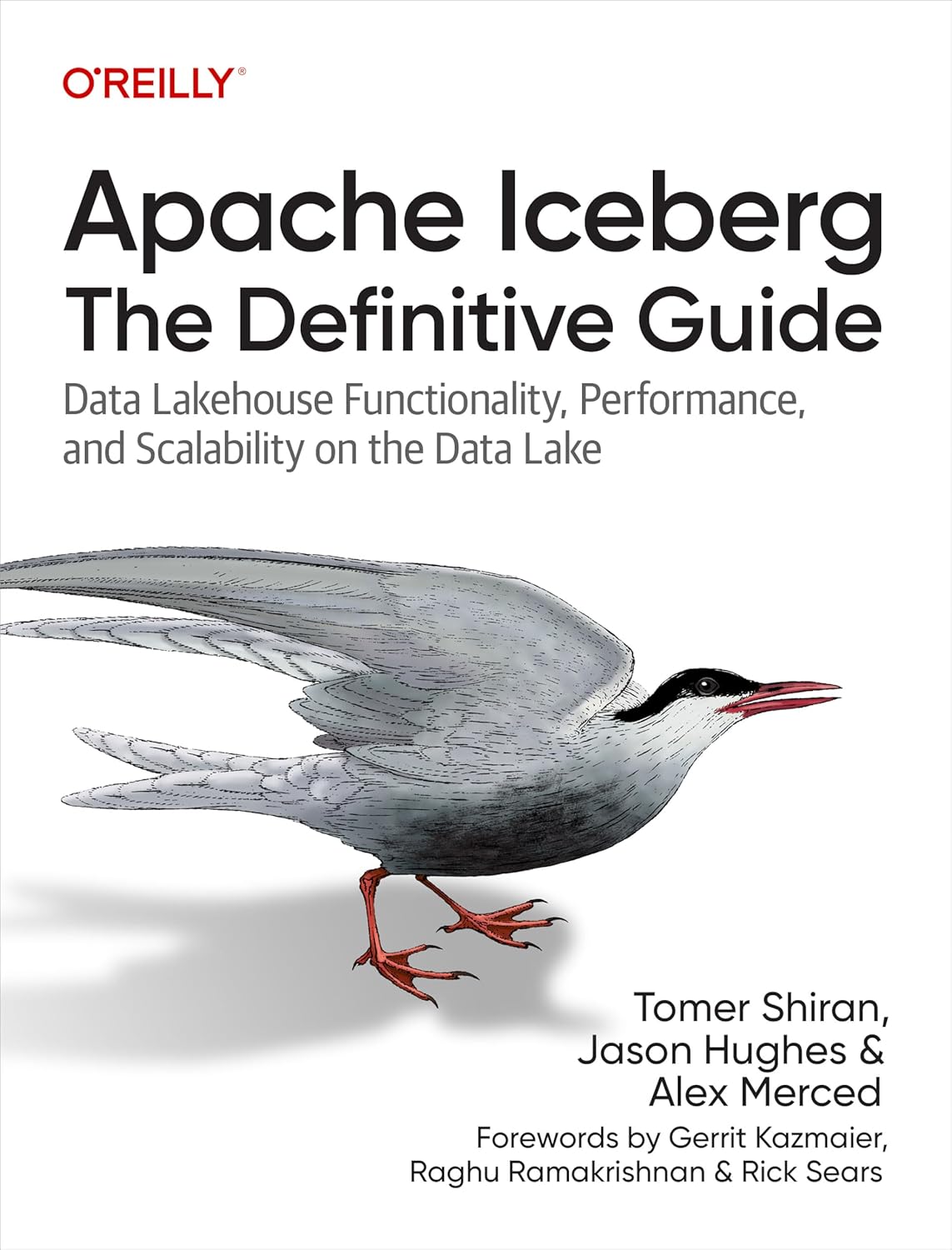 Amazon.com: Apache Iceberg: The Definitive Guide: Data Lakehouse ...