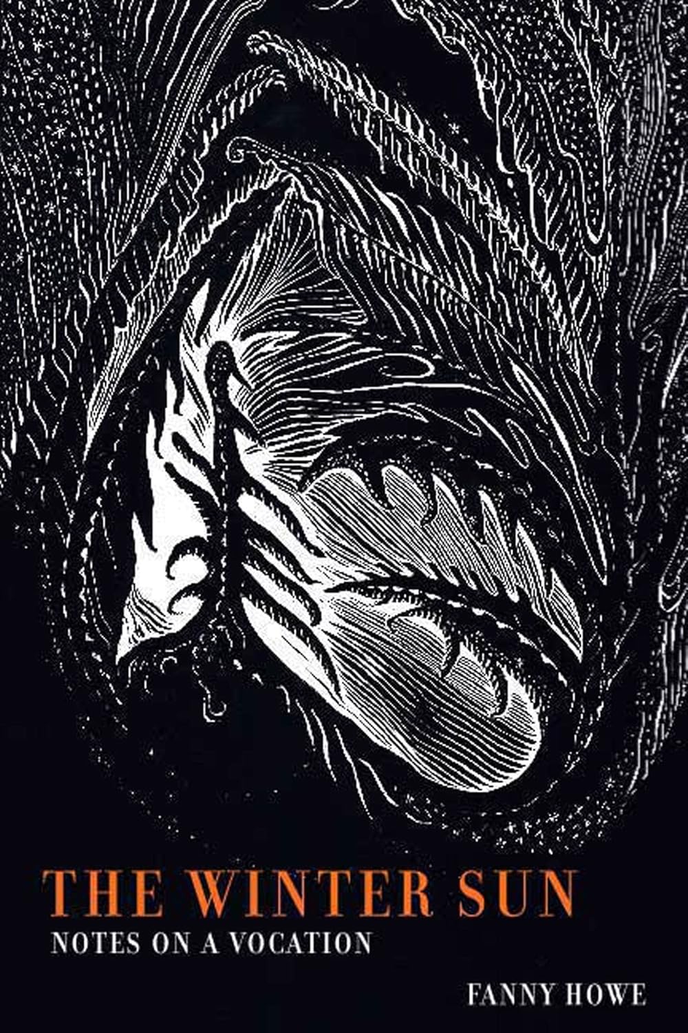 The Winter Sun: Notes on a Vocation: Howe, Fanny: 9781555975203: Amazon ...