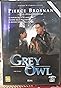 Grey Owl [DVD]: Amazon.co.uk: Pierce Brosnan, Annie Galipea, Renee ...