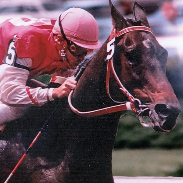 Amazon.com: A Hole Through The Wind eBook : Patterson, Alan: Kindle Store