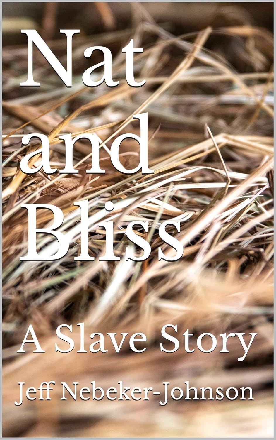 Amazon.com: Nat and Bliss: A Slave Story (The Darkness Saga) eBook ...