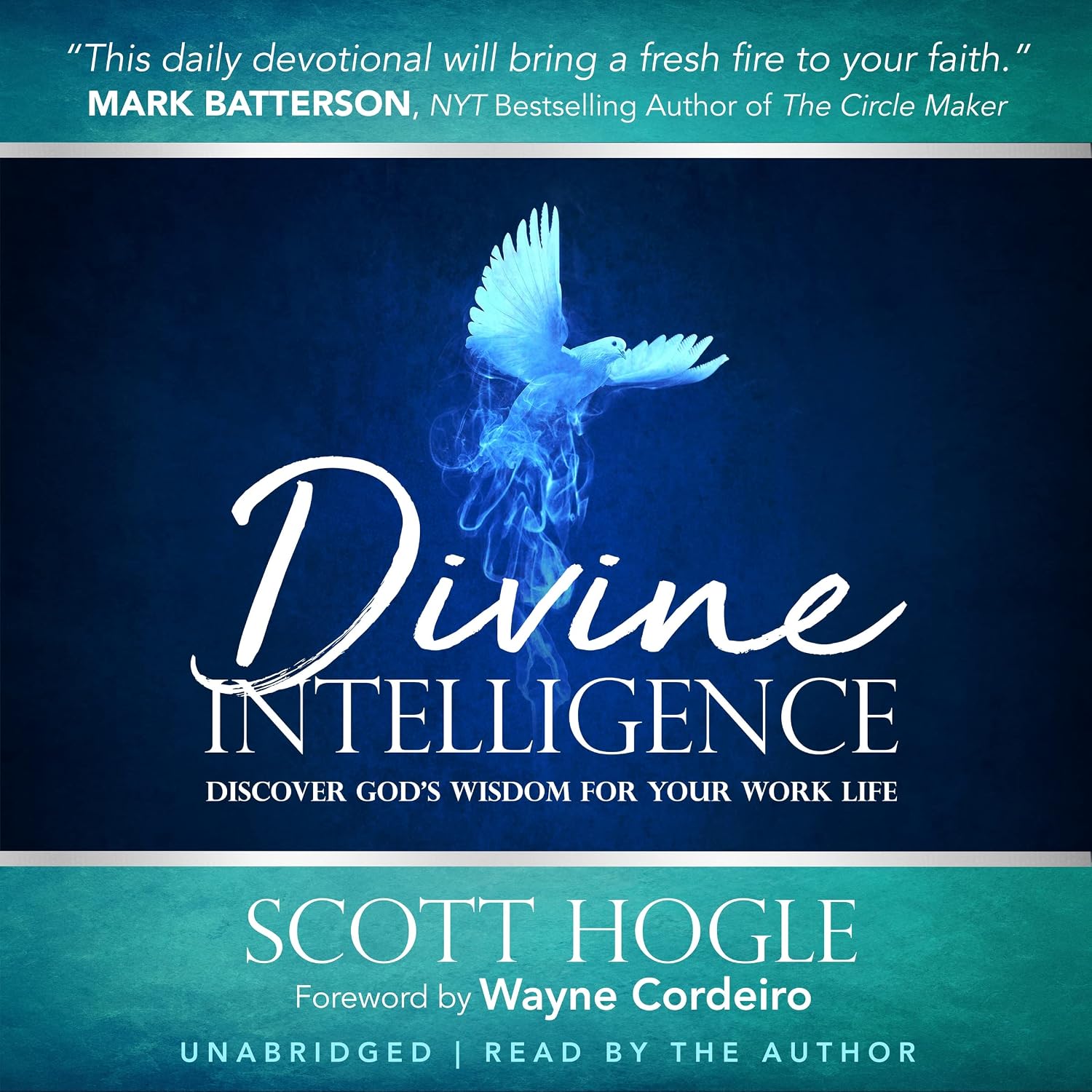 Divine Intelligence: Discover God's Wisdom for Your Work Life: Hogle ...