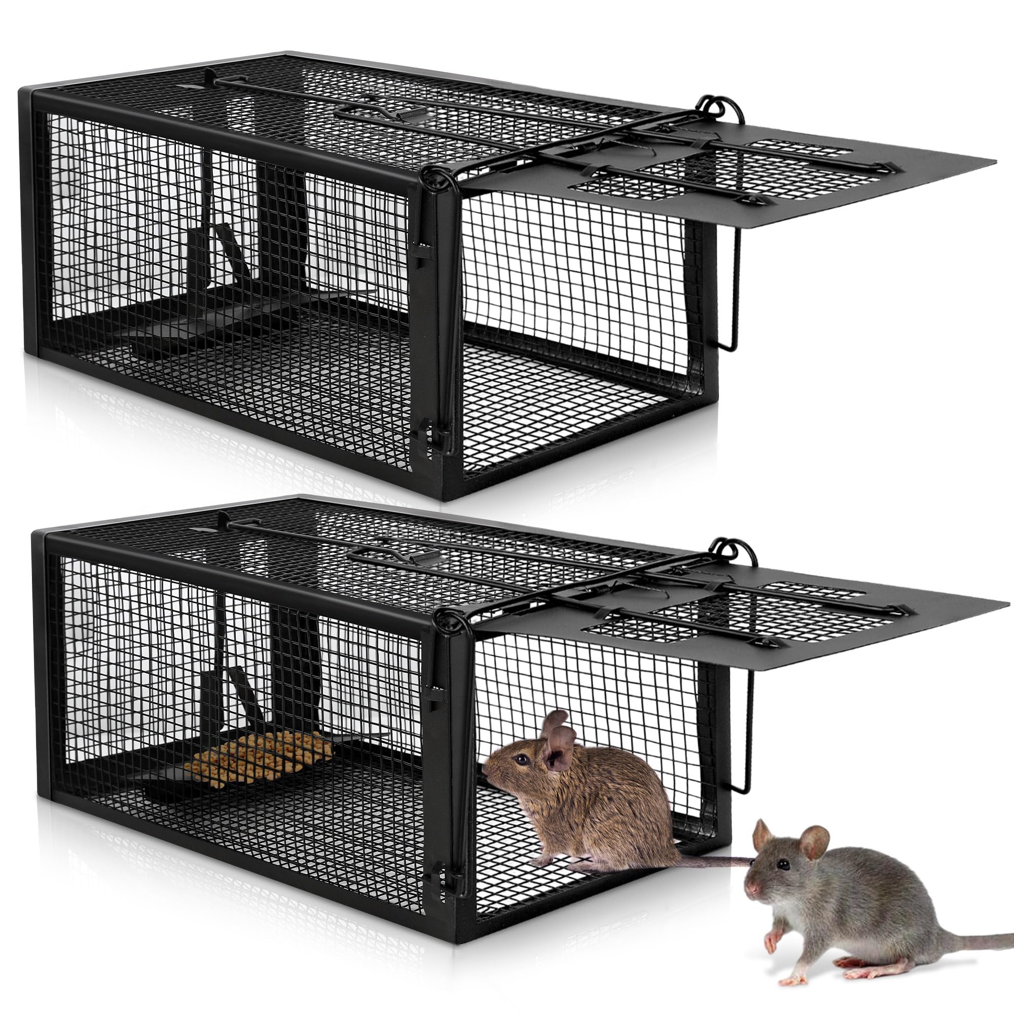 Amazon.com : 2 Pack Humane Rat Traps - Have a Heart Mouse Trap for ...
