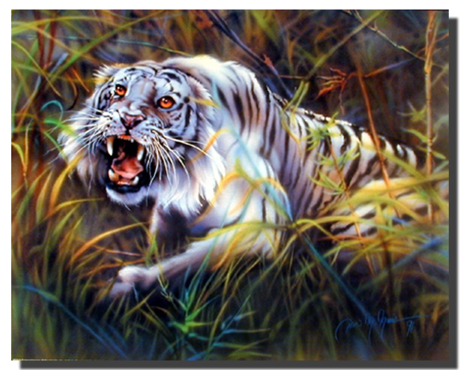 White Tiger Snarling
