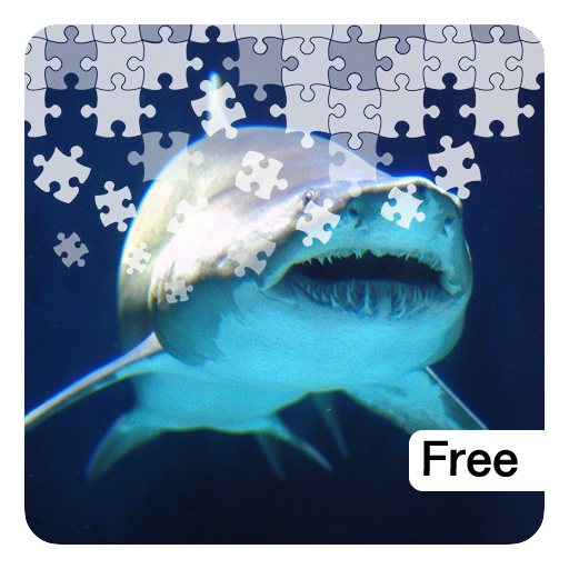 Shark Jigsaw Puzzles - App on the Amazon Appstore