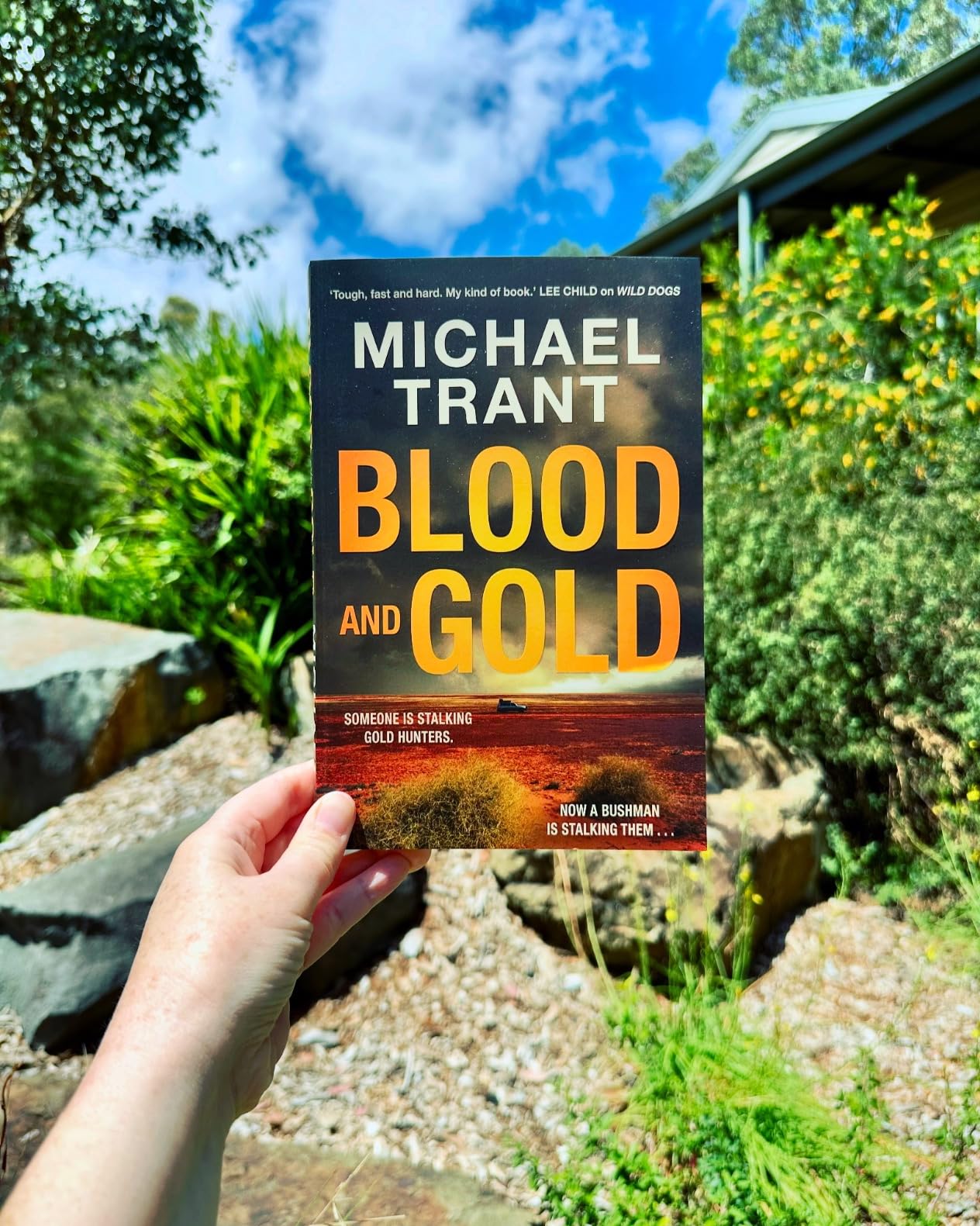 Blood and Gold eBook : Trant, Michael: Amazon.com.au: Kindle Store