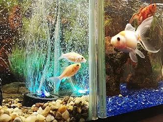 Interpet Liquifry No. 1 - Safe Nutrition for Baby Egg Laying Fish Fry ...