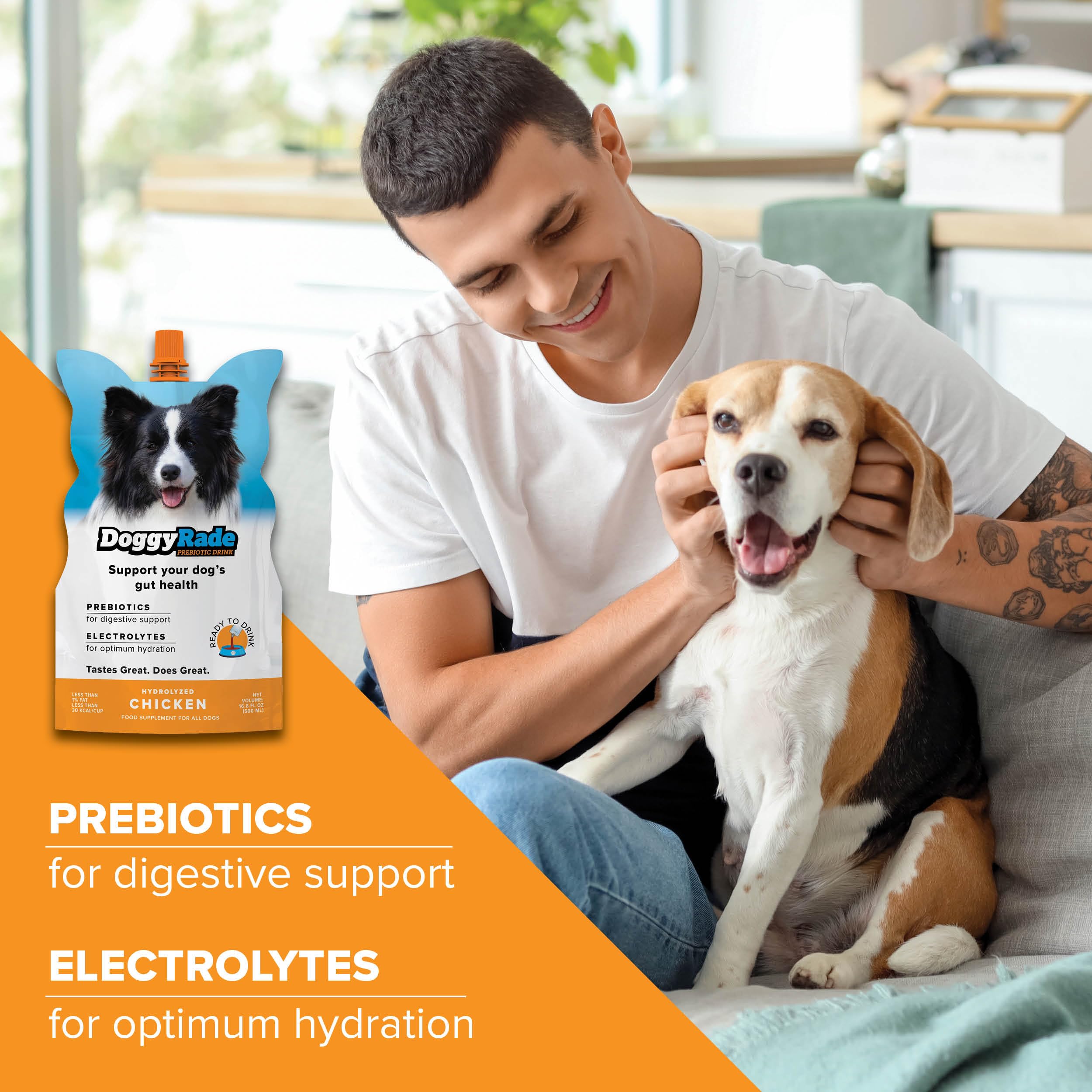 Electrolytes For Dogs Resurgence Electrolytes For Dogs By Alpha Dog