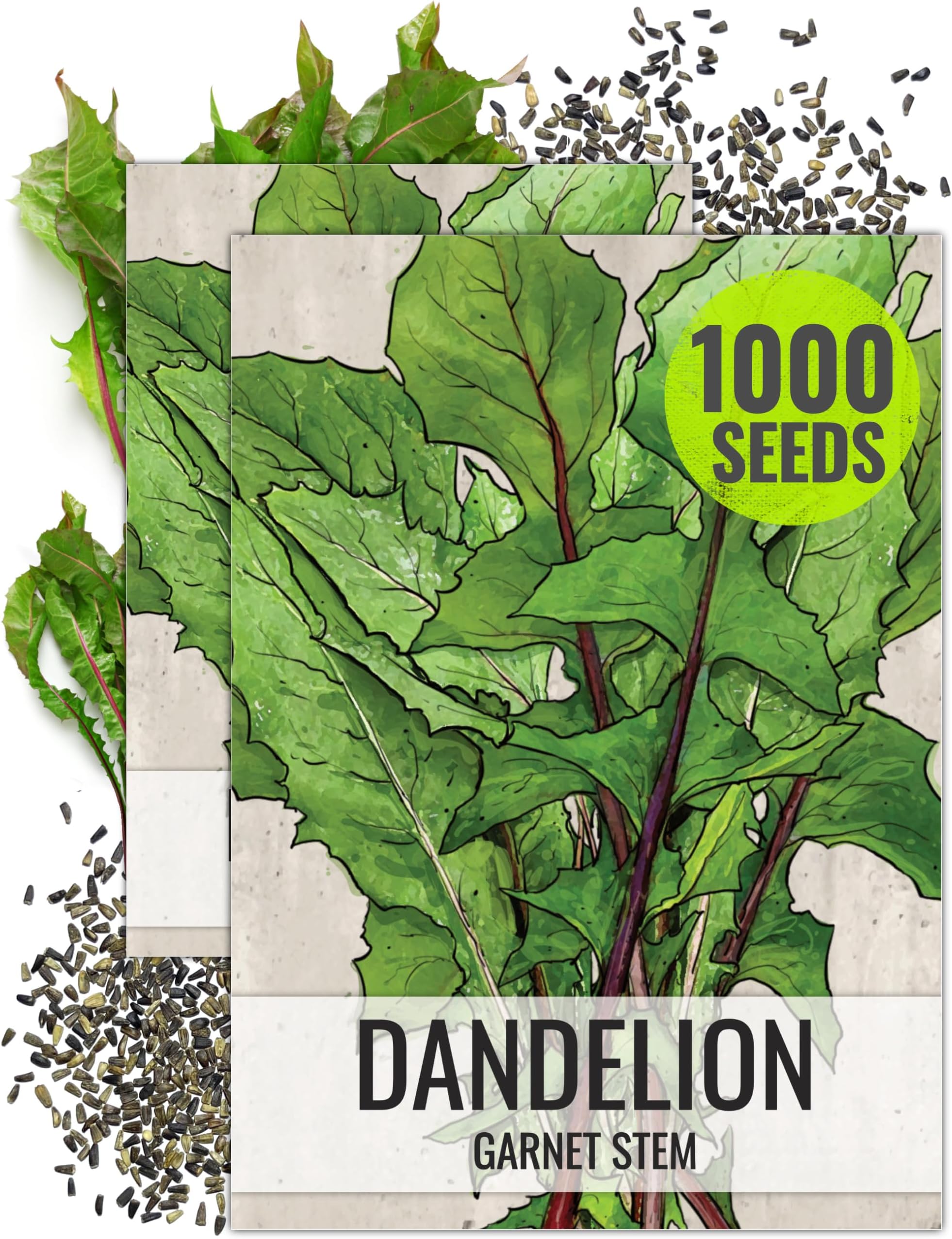 Amazon.com : CHUXAY GARDEN Adam's Needle Seed 30 Seeds White Yucca ...