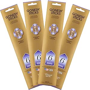 Amazon.com: Gonesh Classic Collection #6 Incense (4 Pack), 4 Piece ...