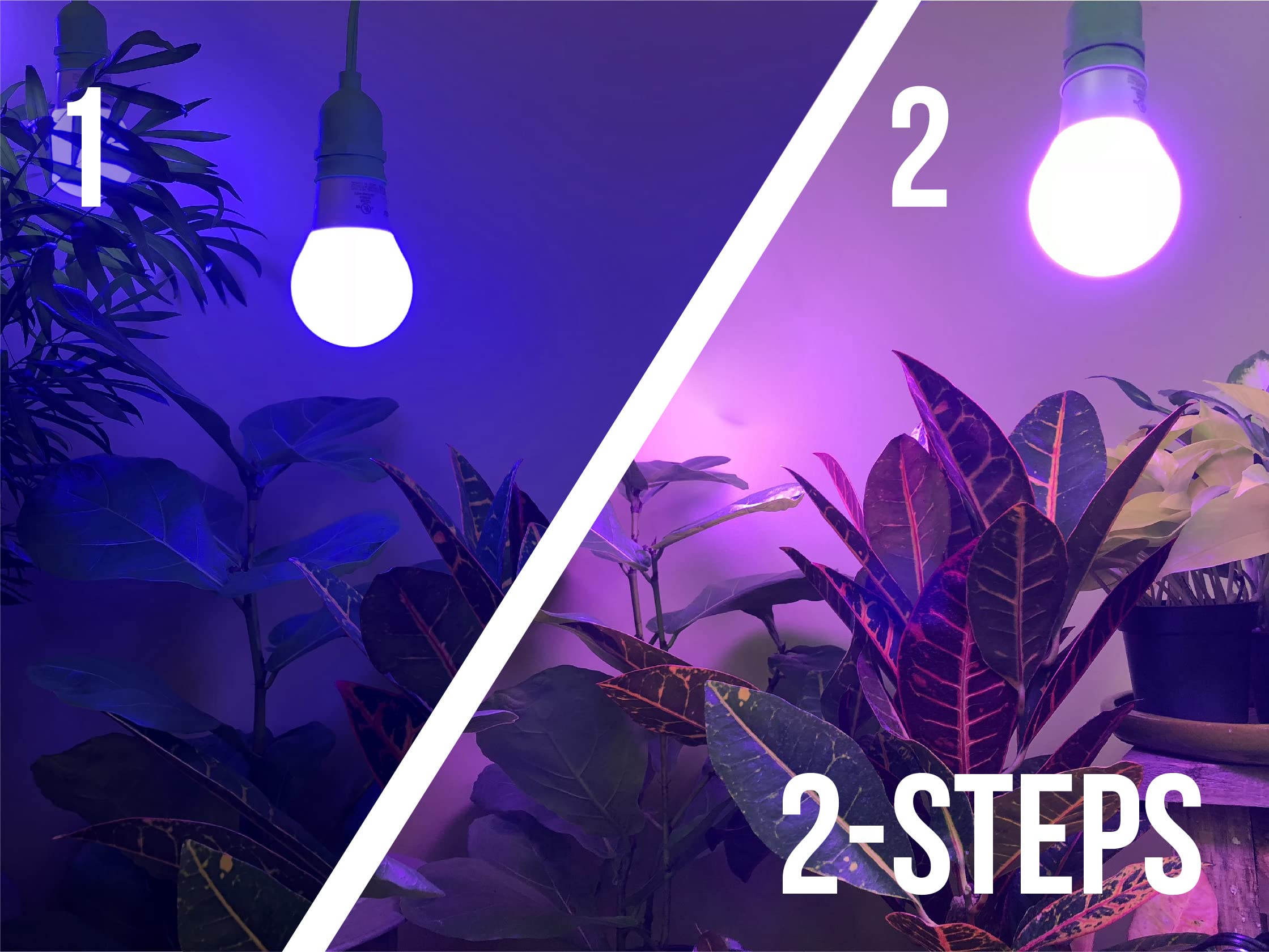 Miracle LED Plant Life Cycle 3-Socket Synchronized Grow Light Kit with ...