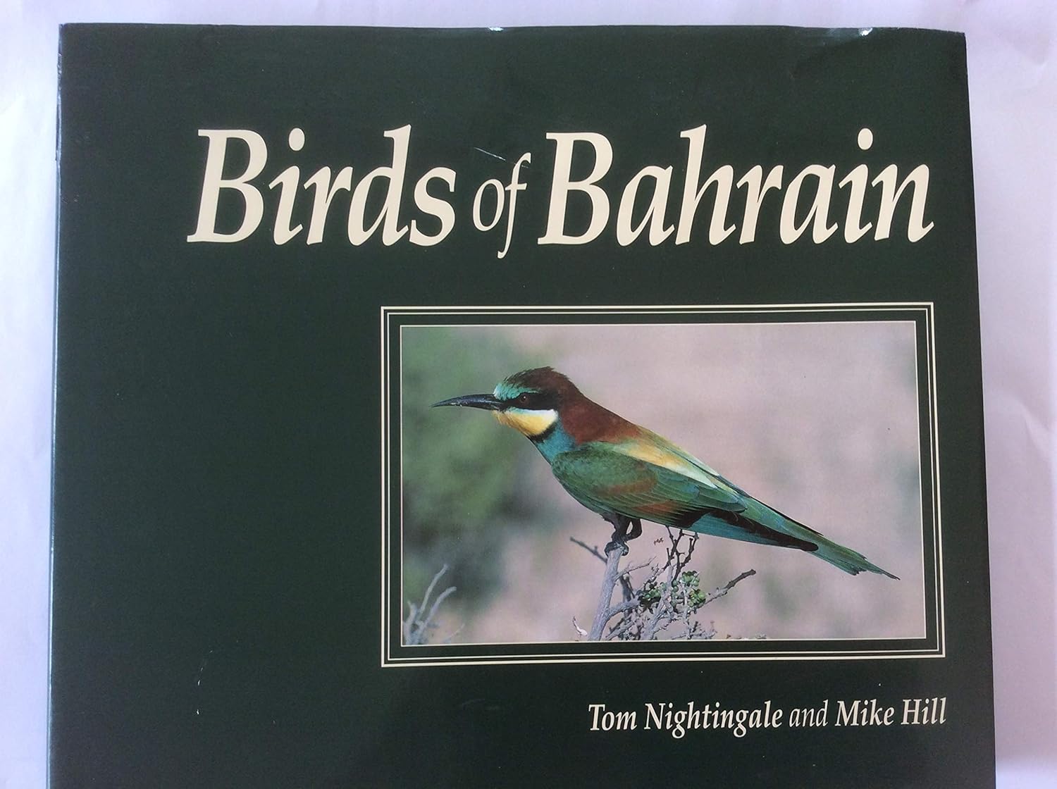 Birds of Bahrain: Nightingale, Tom: 9780907151791: Amazon.com: Books