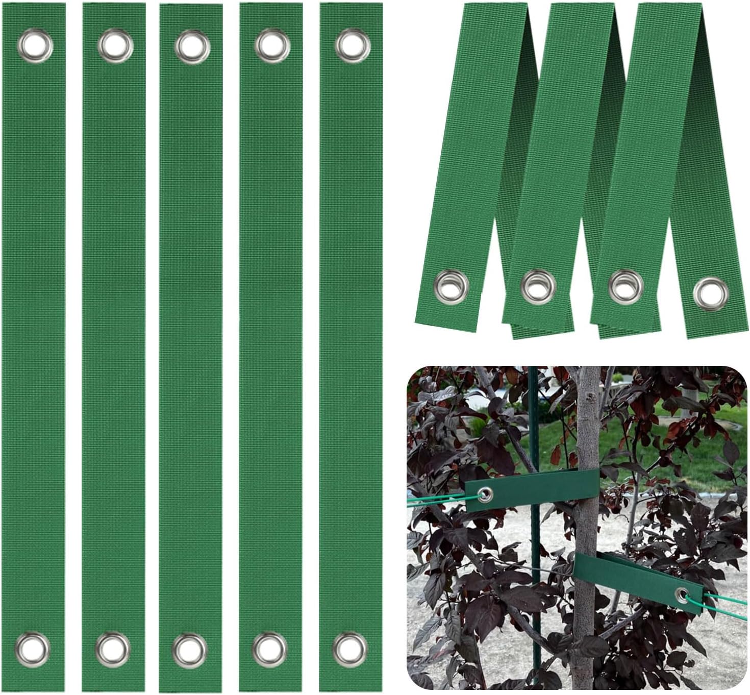 Amazon.com : 12 PCS Tree Straps for Staking, Tree Support Straps Ties ...