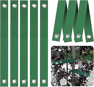 Amazon.com : 24 PCS Tree Straps for Staking, Tree Support Straps Ties ...
