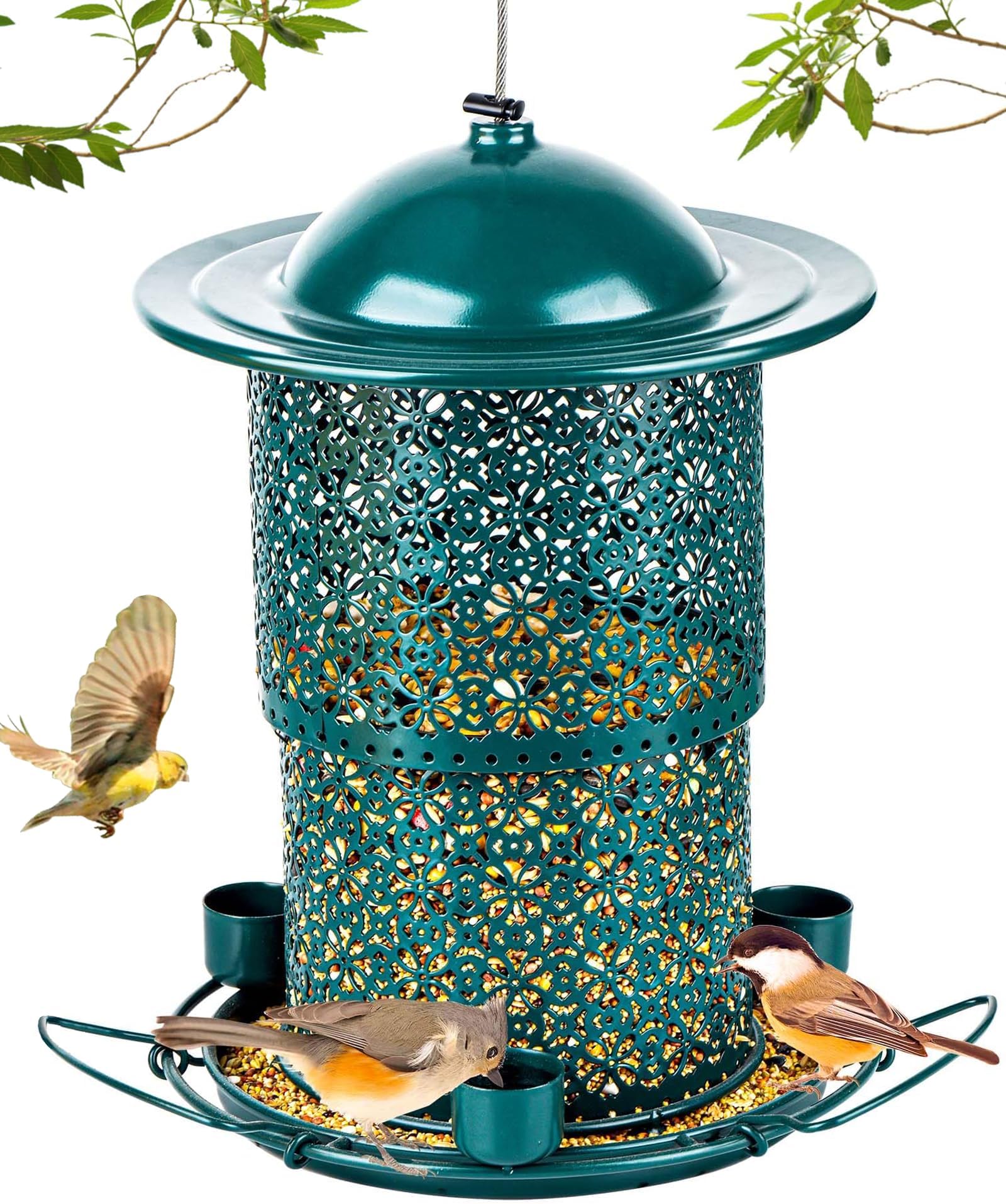 Amazon.com : Zenport Z203010 Hanging Bird Seed Screen Feeder : Wild ...