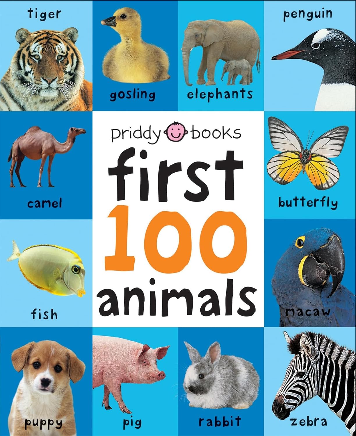 First 100 Animals: First 100 Soft To Touch : Books, Priddy, Priddy ...