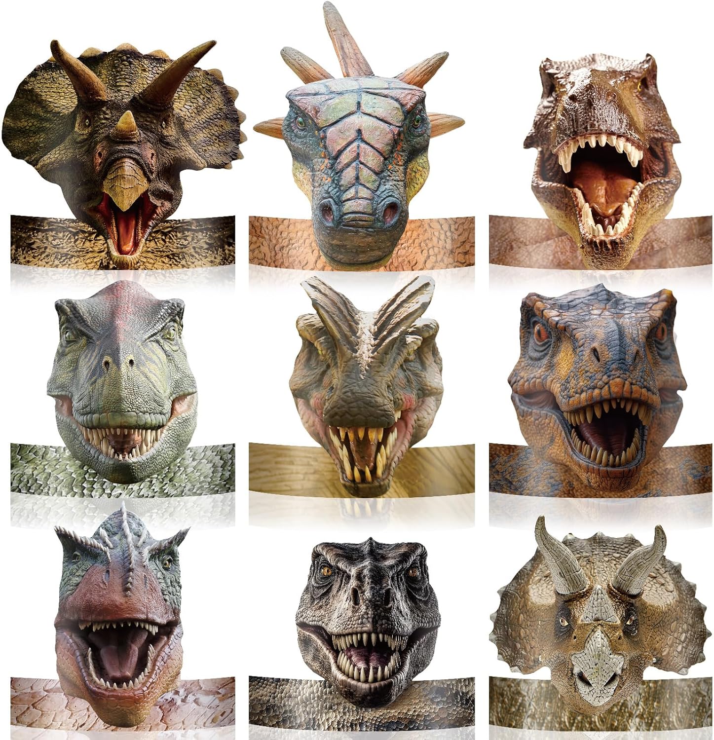 Amazon.com: Gersoniel 24 Pcs Dinosaur Birthday Party Hats, Favors ...
