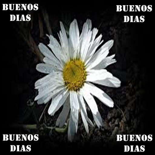 Good Morning:Amazon.com:Appstore for Android