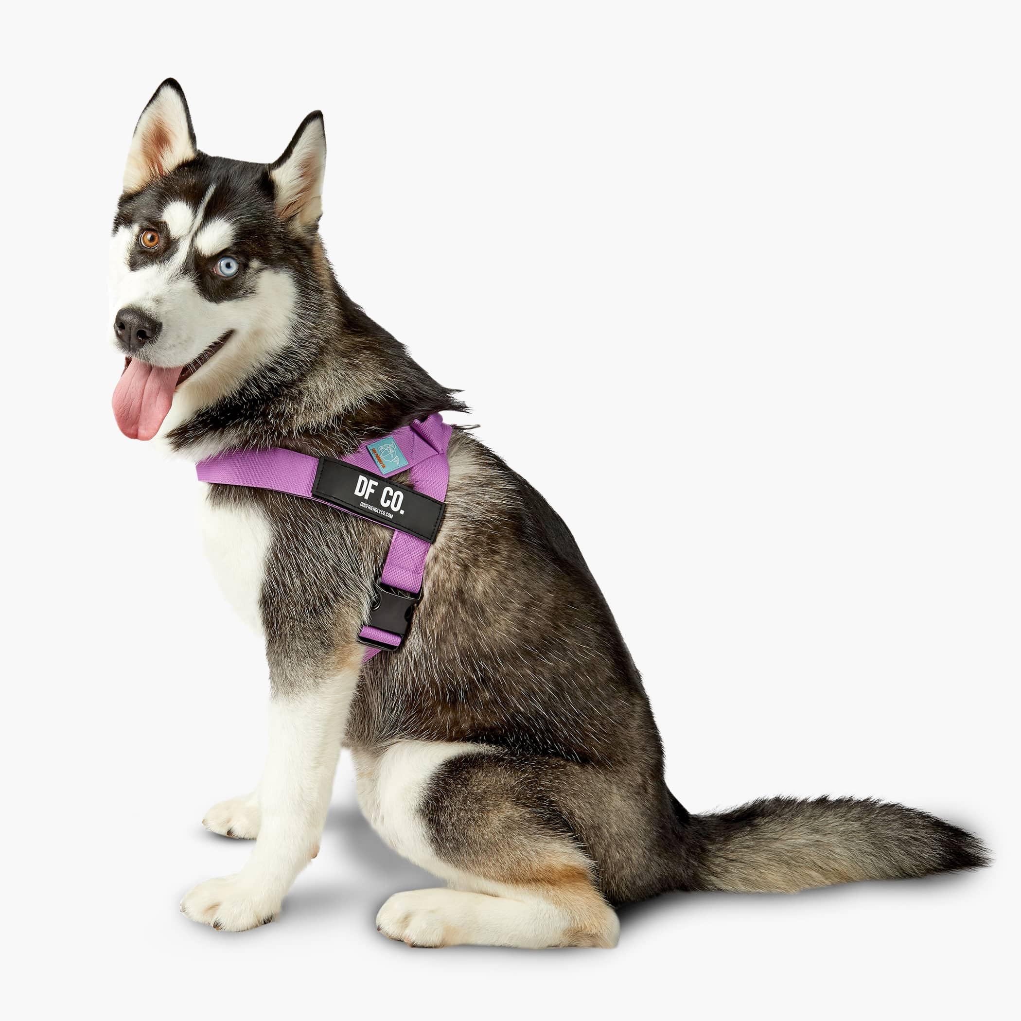 DF Co. Dog Harness | Chafe Resistant Webbing, Adjustable Neck & Chest ...