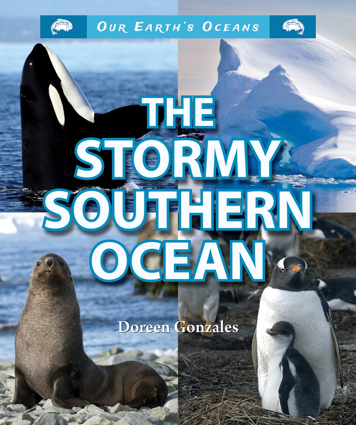 Amazon | The Stormy Southern Ocean (Our Earth's Oceans) | Gonzales ...
