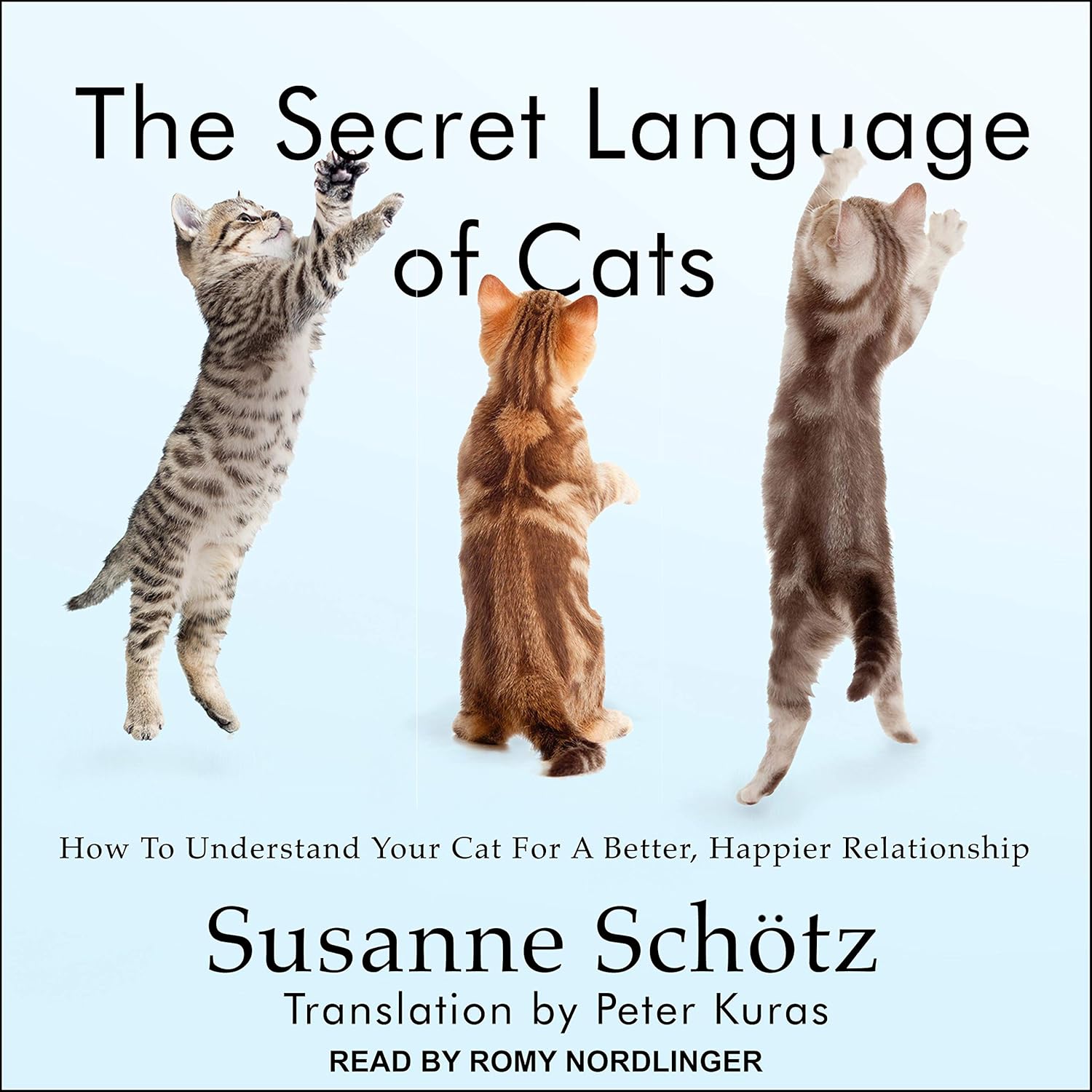 The Secret Language of Cats: How to Understand Your Cat for a Better ...