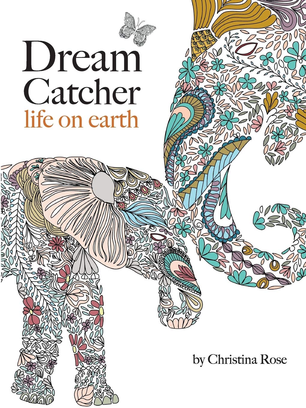 Amazon.com: Dream Catcher: life on earth: A powerful & inspiring ...