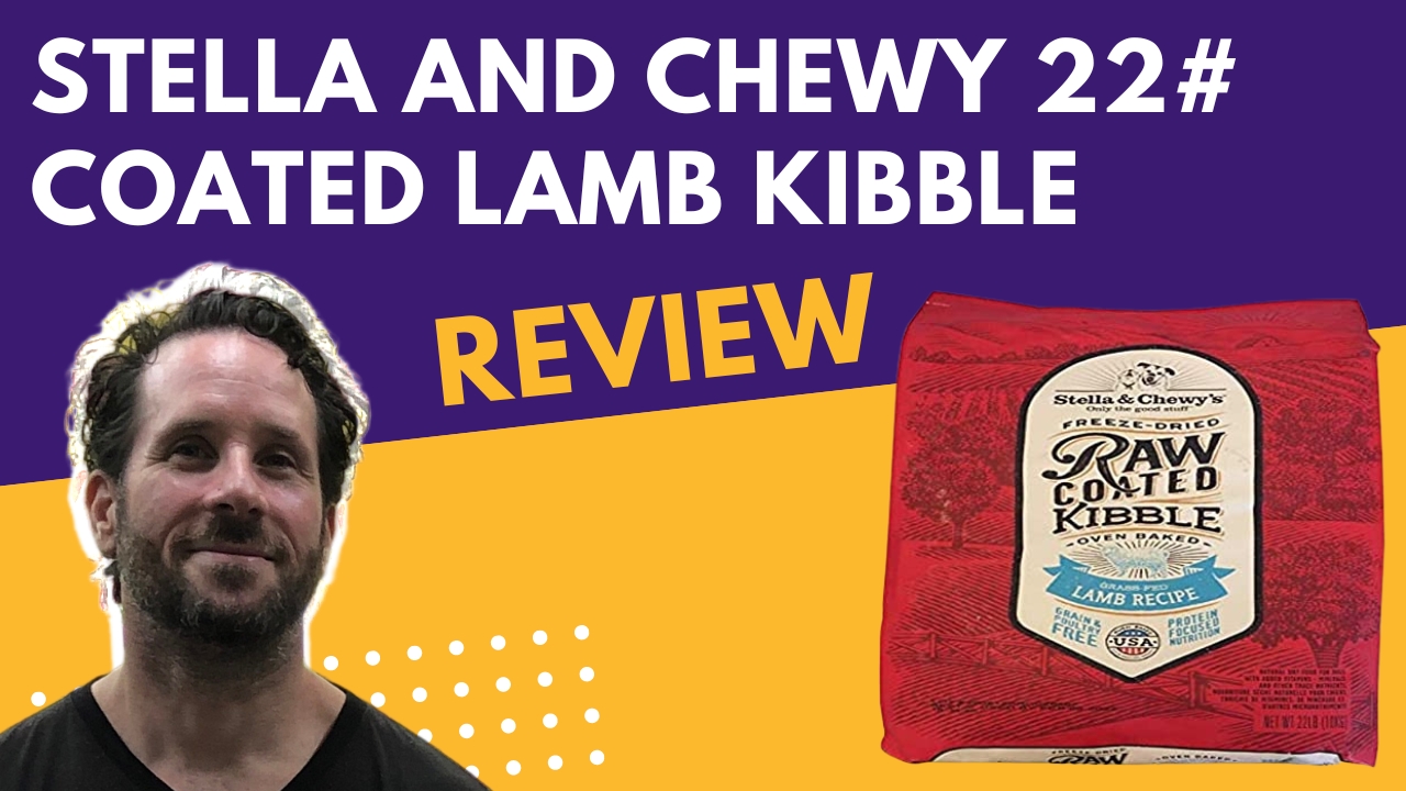 Watch Stella and Chewy Lamb Kibble Dog Tasting on Amazon Live