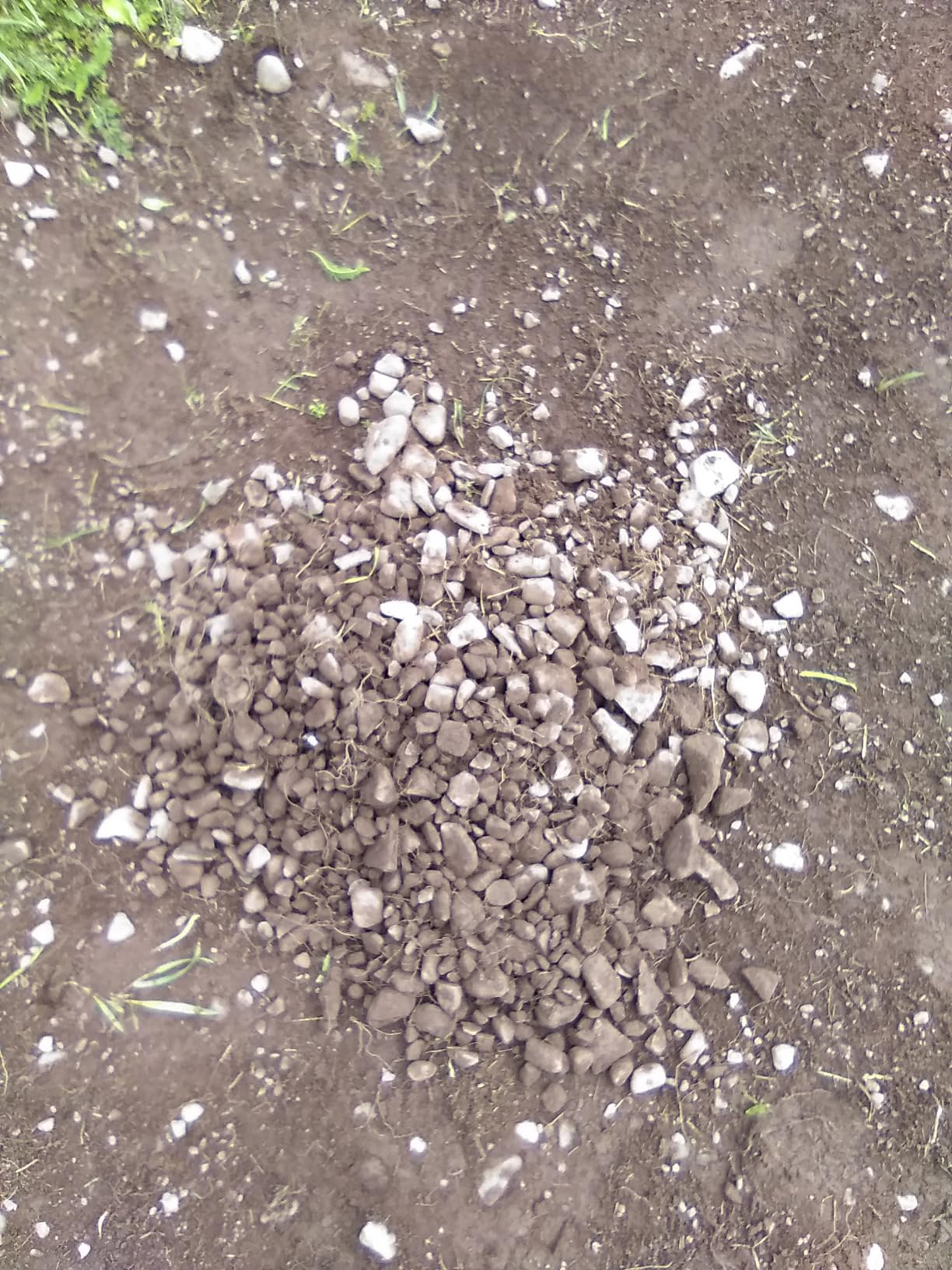 $28/mo - Finance EARTHQUAKE Victory Rear Tine Tiller, Powerful 209cc 4 ...