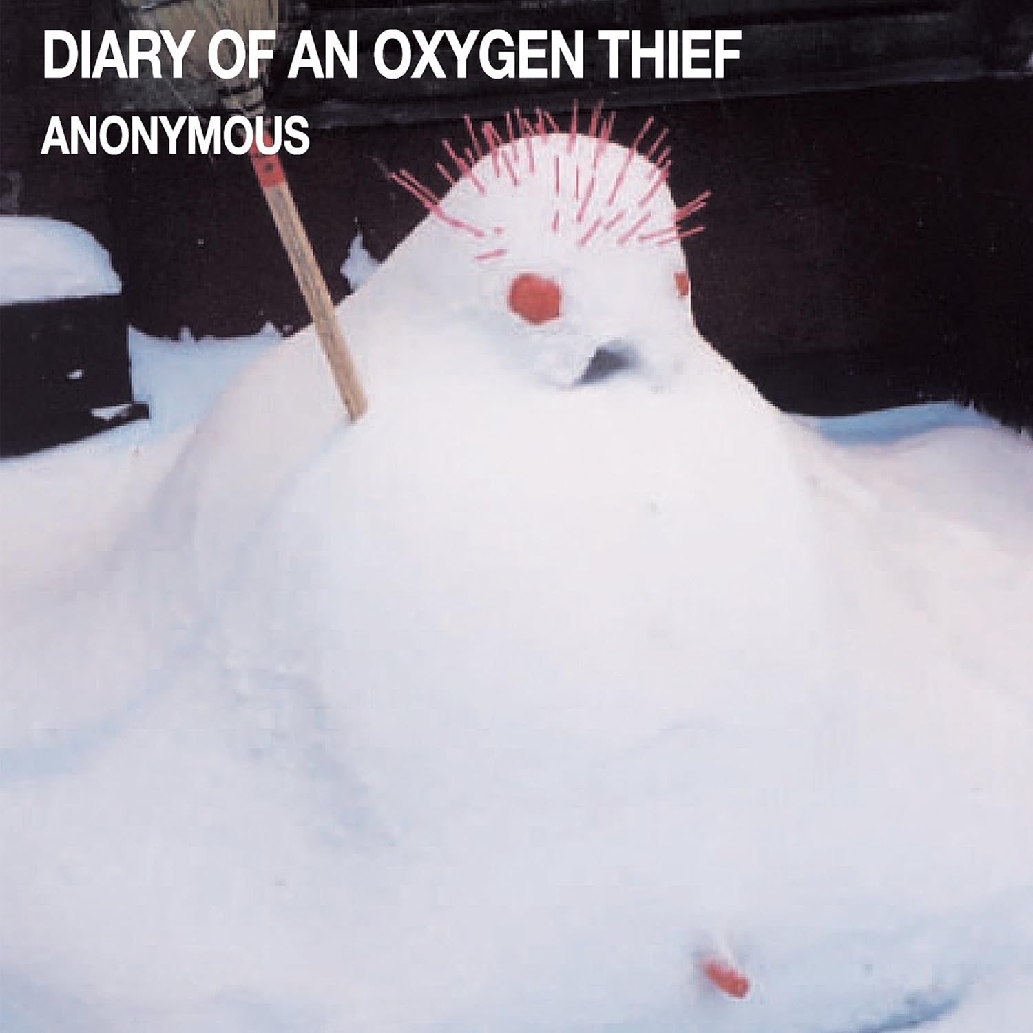 Amazon.com: Diary of an Oxygen Thief (Audible Audio Edition ...