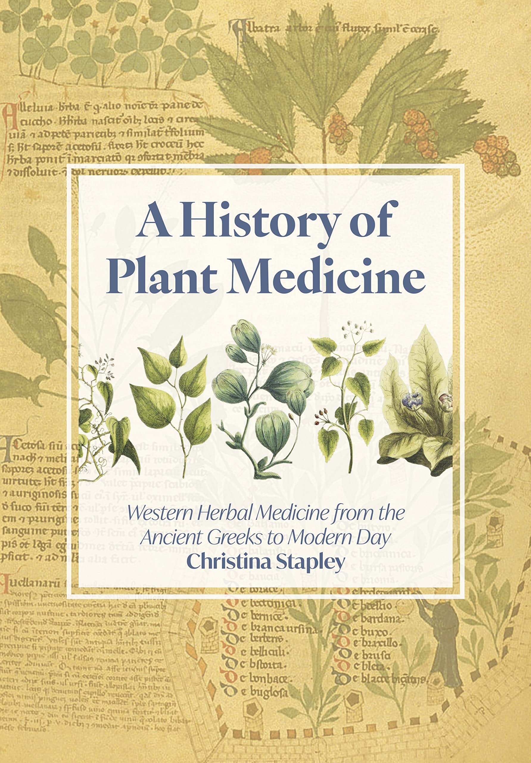 Buy A History of Medicine: Western al Medicine from the Ancient Greeks ...