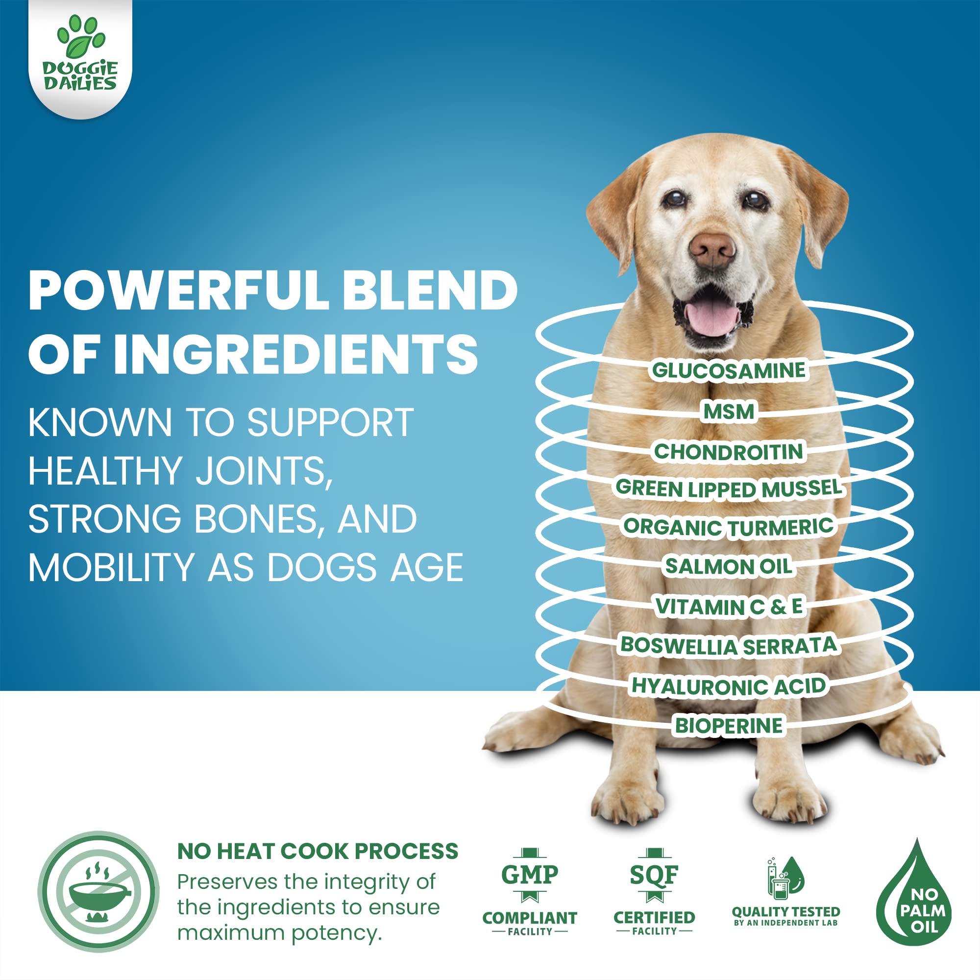 The 11 Best Joint Supplements For Dogs Daily Paws | atelier-yuwa.ciao.jp