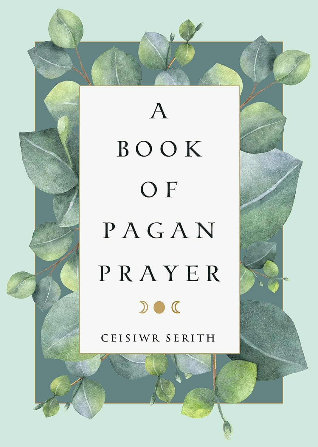 A Book of Pagan Prayer: Amazon.co.uk: Ceisiwr Serith: 9781578636495: Books
