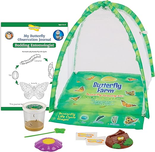 Amazon.com: Insect Lore Butterfly Farm™ | Butterfly Kit with Live Cup ...
