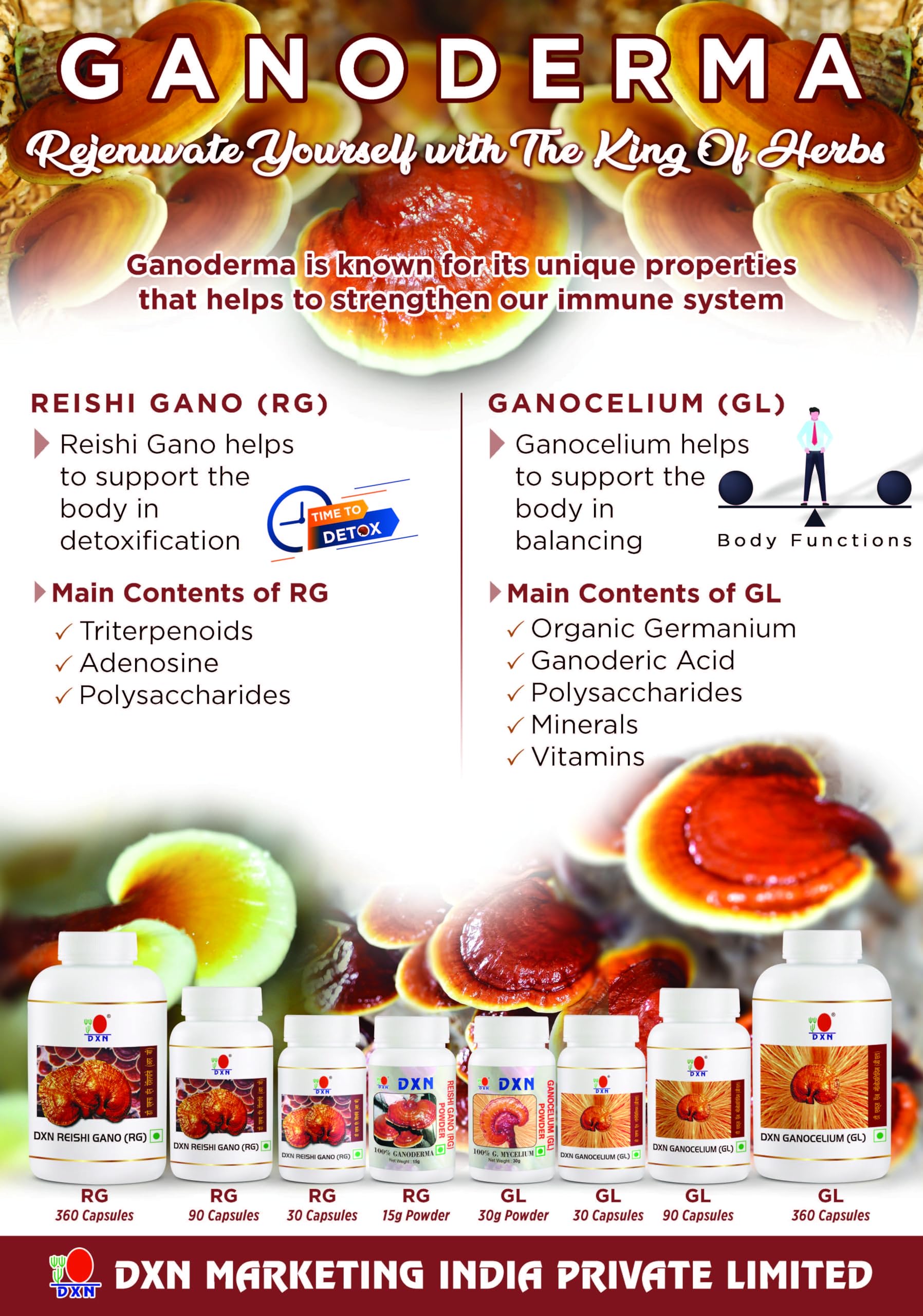 DXN Reishi Gano and Ganocelium Capsules - Rg & Gl (90 + 90 Capsules ...