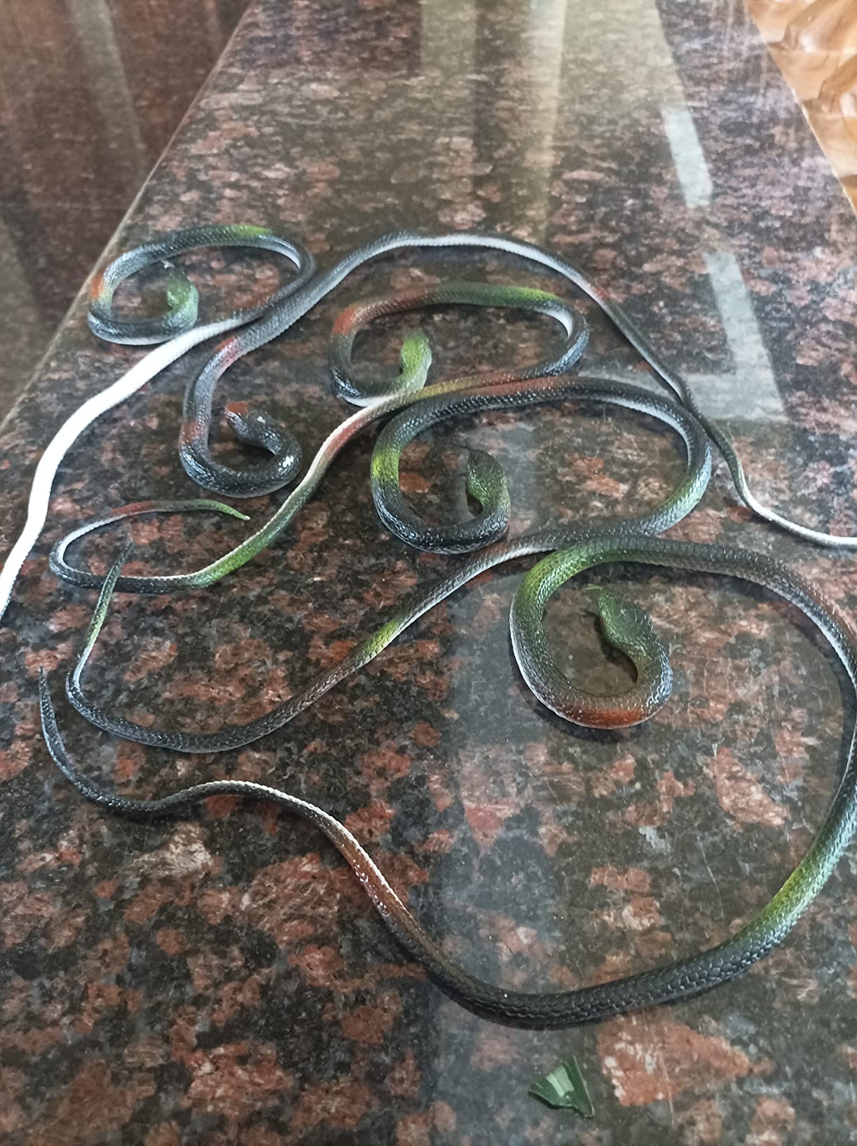 Buy haven's treasure realistic fake rubber snake gag toy artificial ...